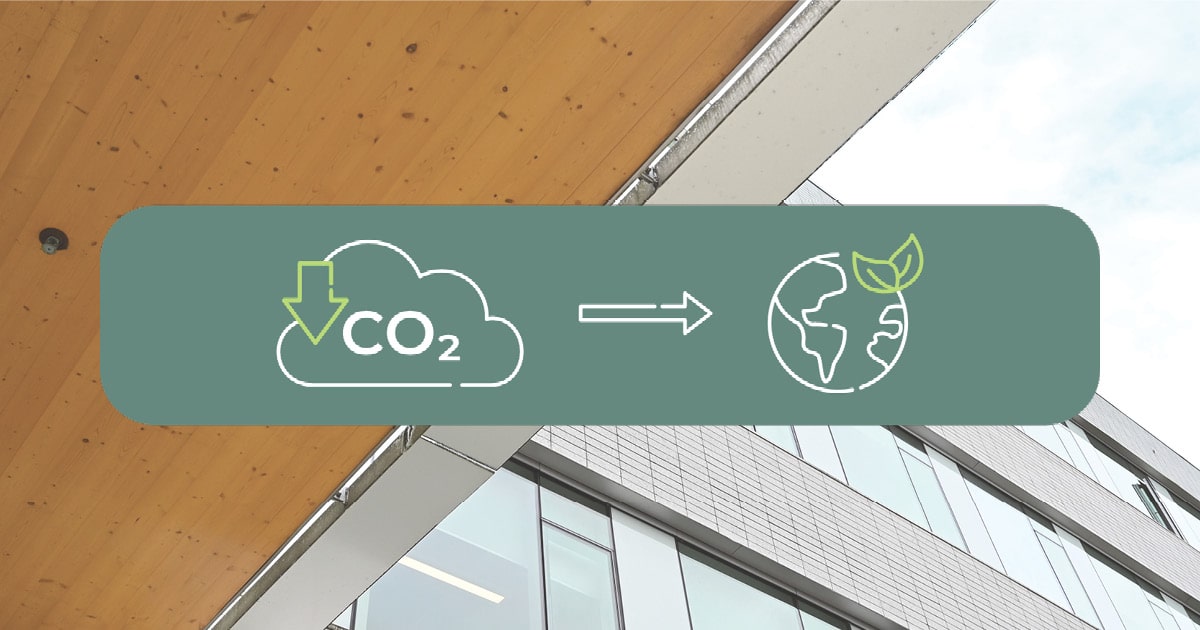 From Trees to Towers: Why Mass Timber is Changing the Construction Game ...